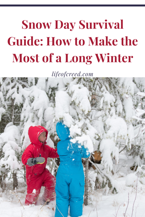 Snow Day Survival Guide: How to Make the Most of Long Winter Days ...