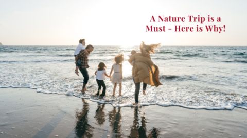 A Nature Trip Is A Must - Here Is Why! | Life of Creed