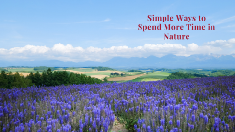 Simple Ways to Spend More Time in Nature | Life of Creed